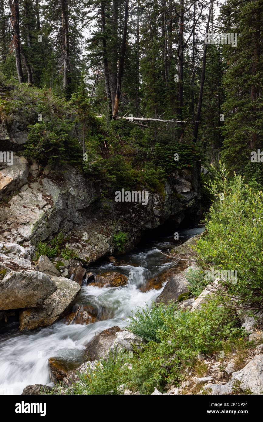 The South Fork of Cascade Creek flowing through rocky cliffs in the ...