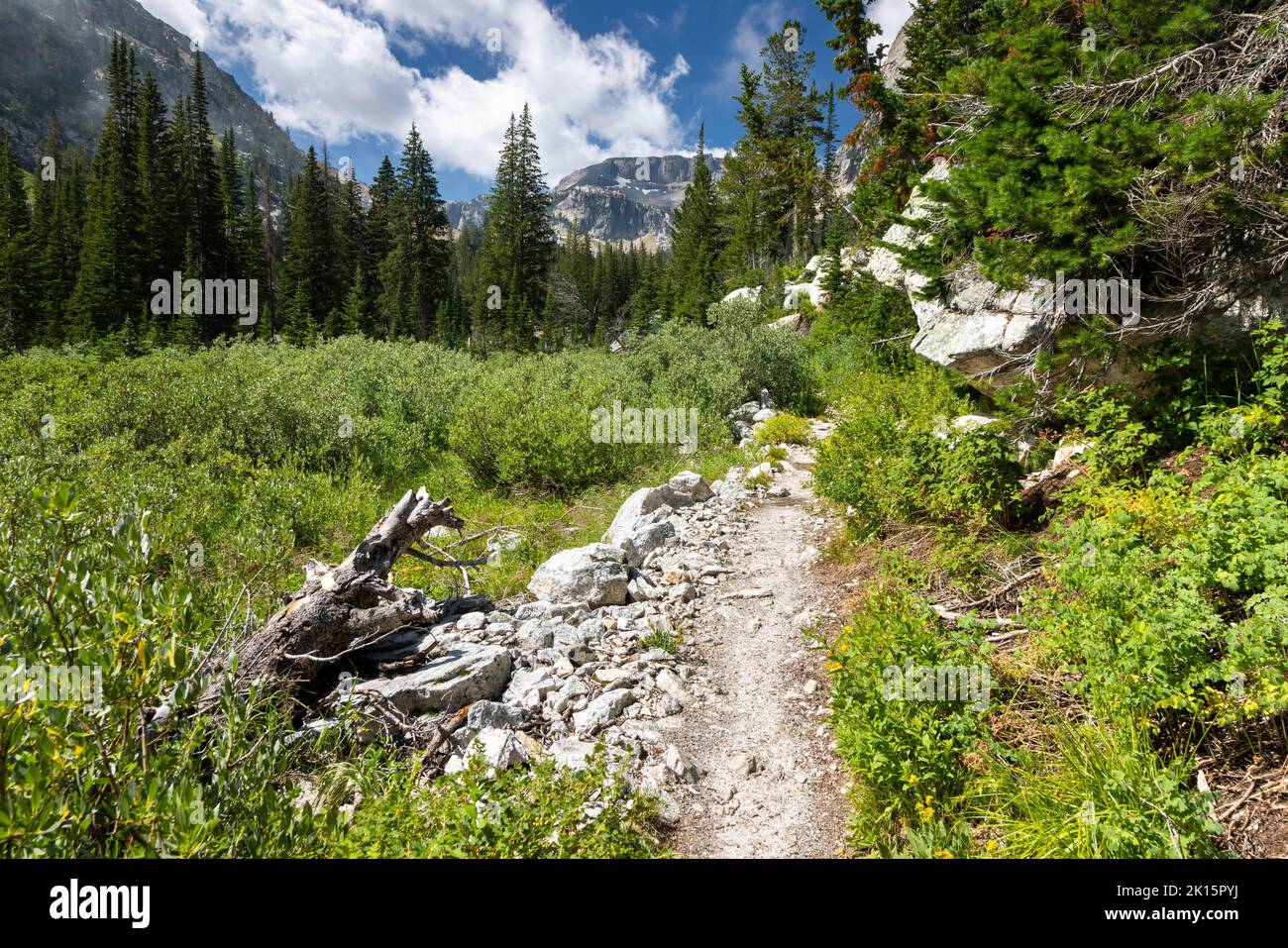 South fork of cascade canyon trail hi-res stock photography and images ...