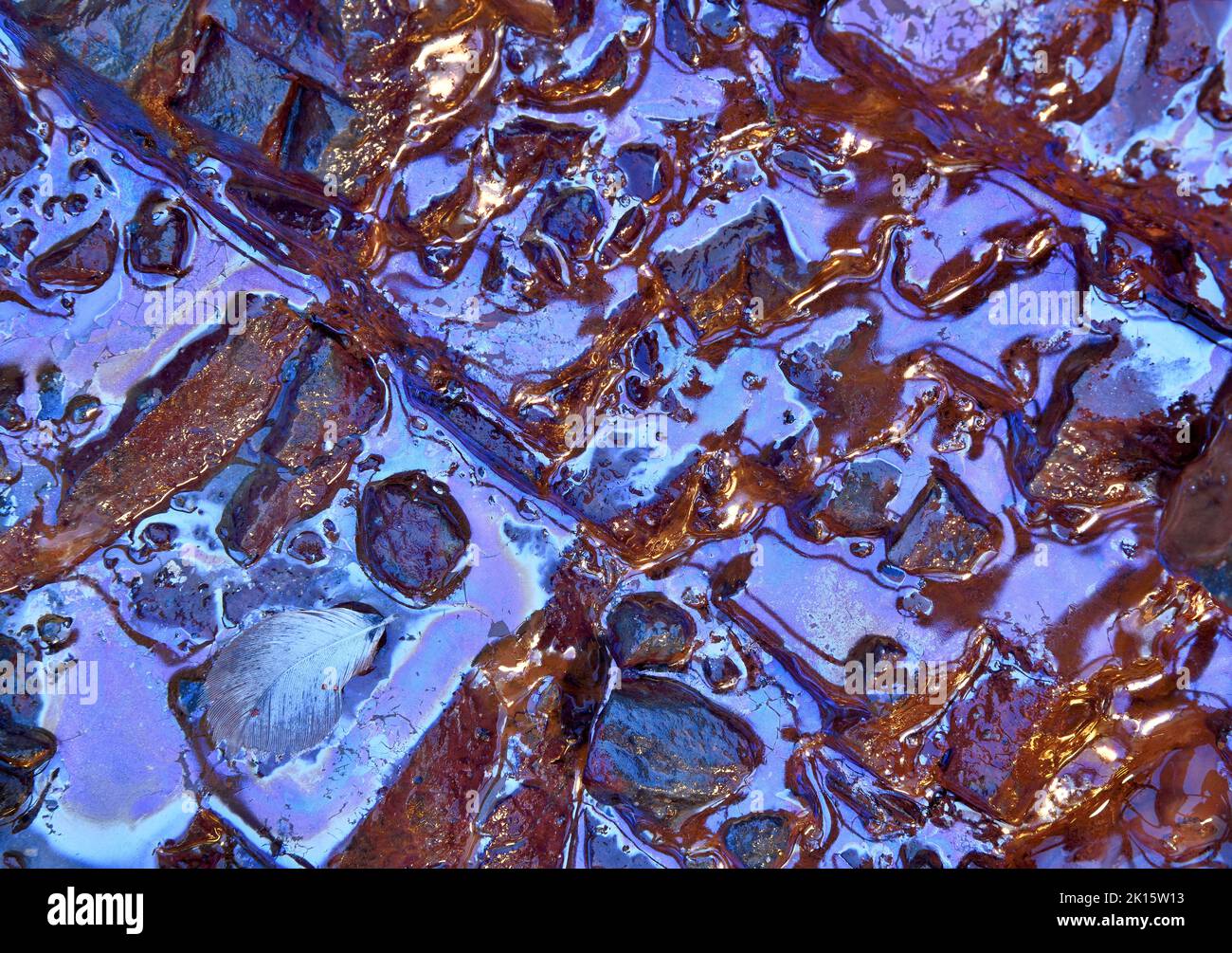 Top view of small bird feather placed on uneven rock formation covered ...
