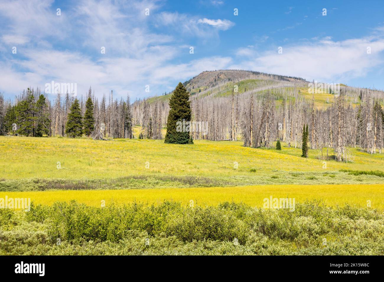 Dave adams hill hi-res stock photography and images - Alamy
