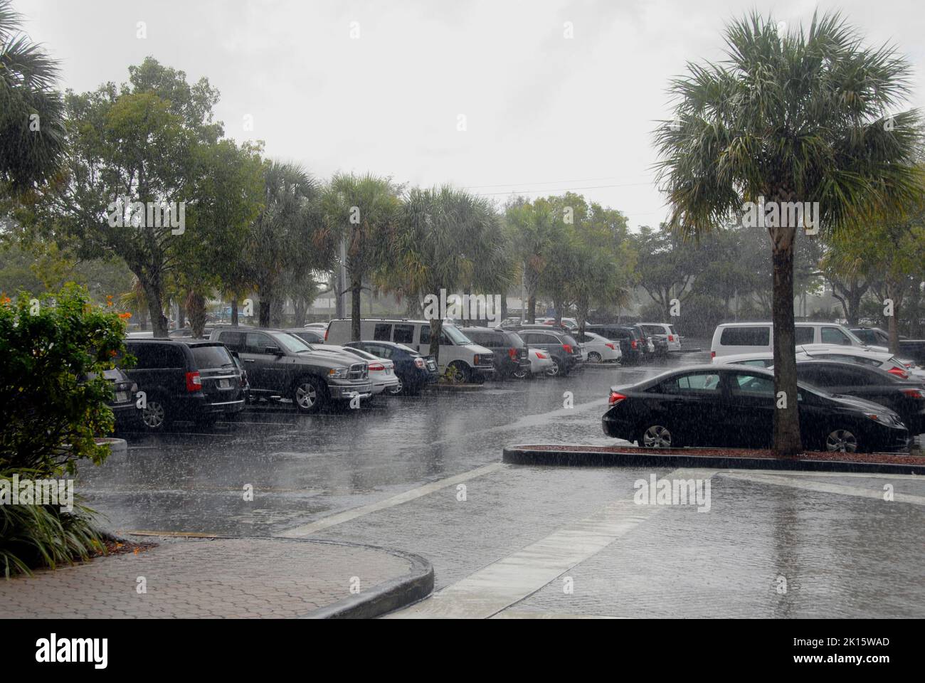 Hotel car park in heavy rain, Miami, Florida, USA Stock Photo - Alamy