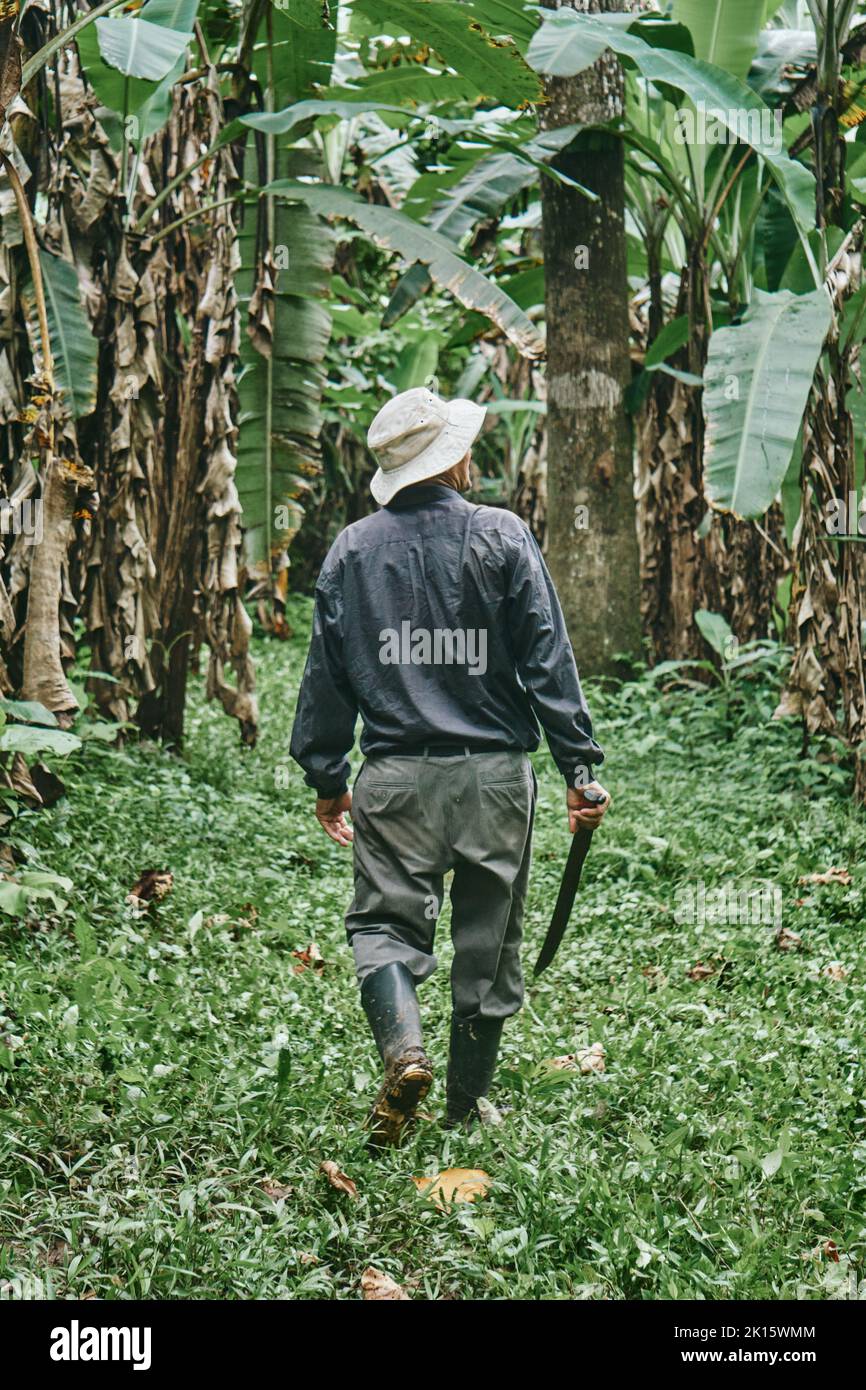 Back view of unrecognizable man in shirt and bucket hat walking with ...