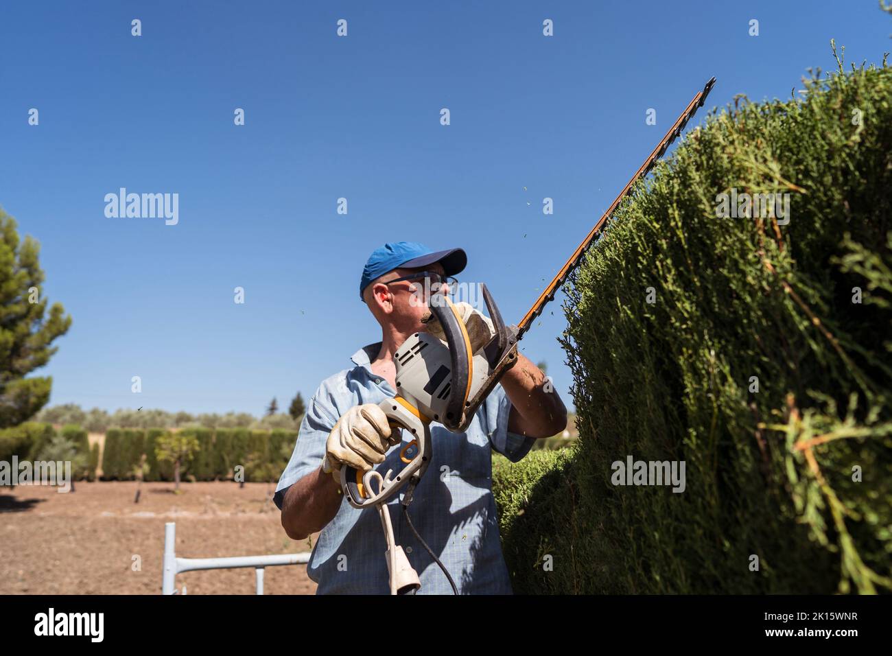Man using hedge trimmer hi-res stock photography and images - Alamy