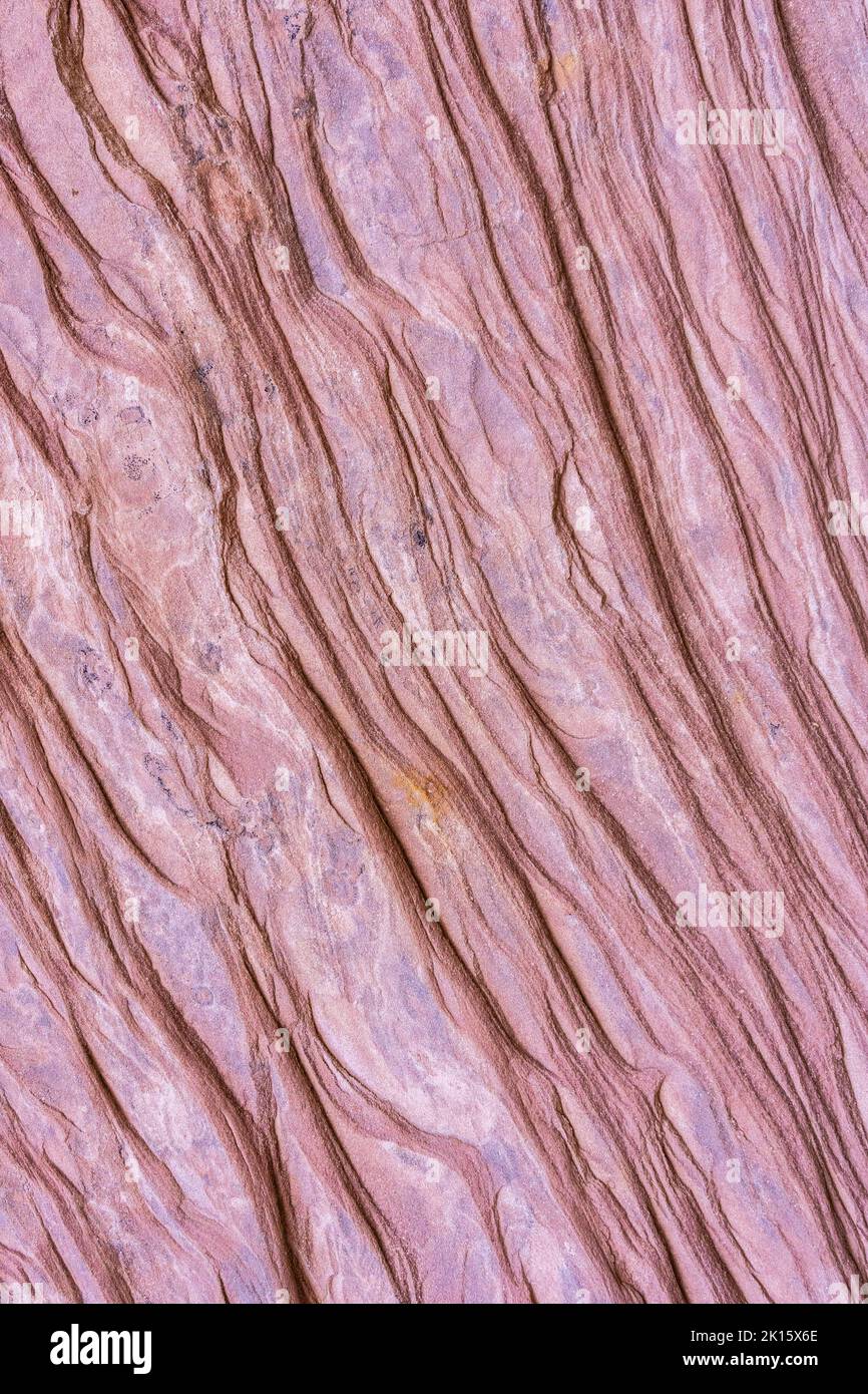 Uneven colorful sandstone surface wall of Little Wild Horse Canyon in ...