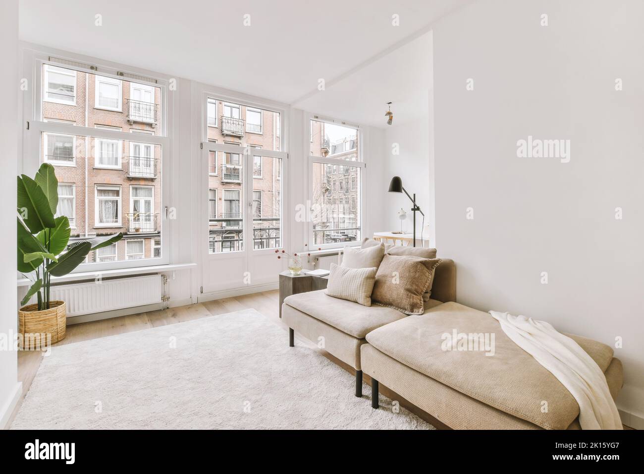 Interior of light living room with soft sofa and plants in daytime at ...
