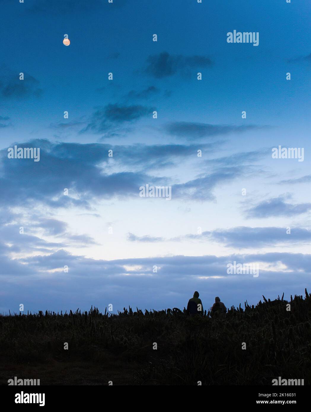 Silhouette of two distant people watching the moon Stock Photo - Alamy