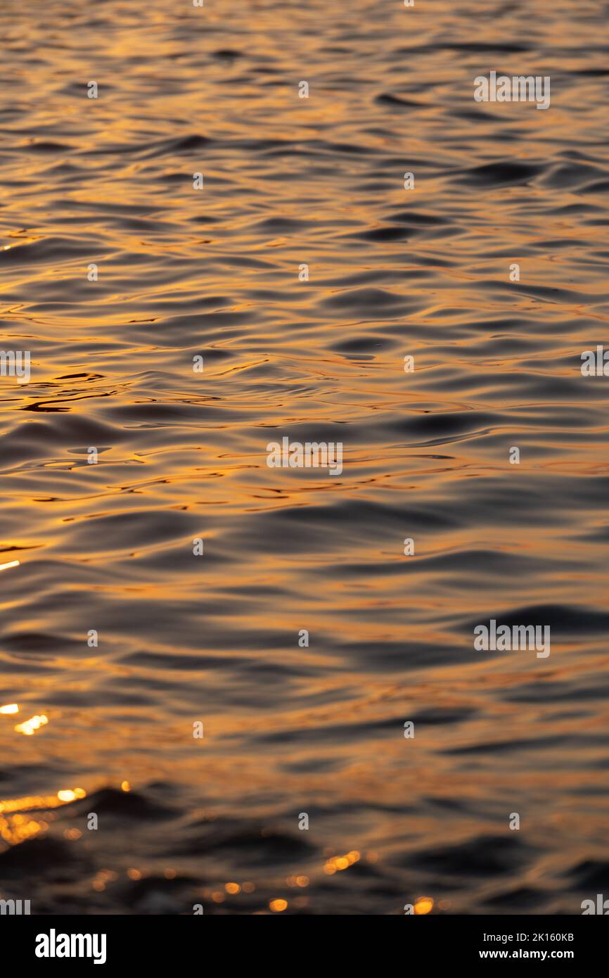 Ripple sea ocean water surface with golden sunset light. Sea wave close ...