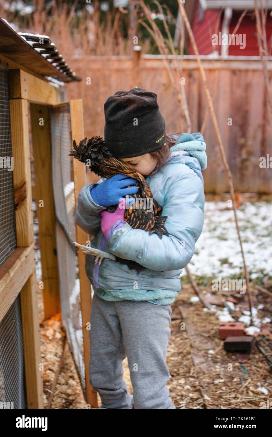 A small child nuzzles a pet chicken close to her face by chicken coop ...
