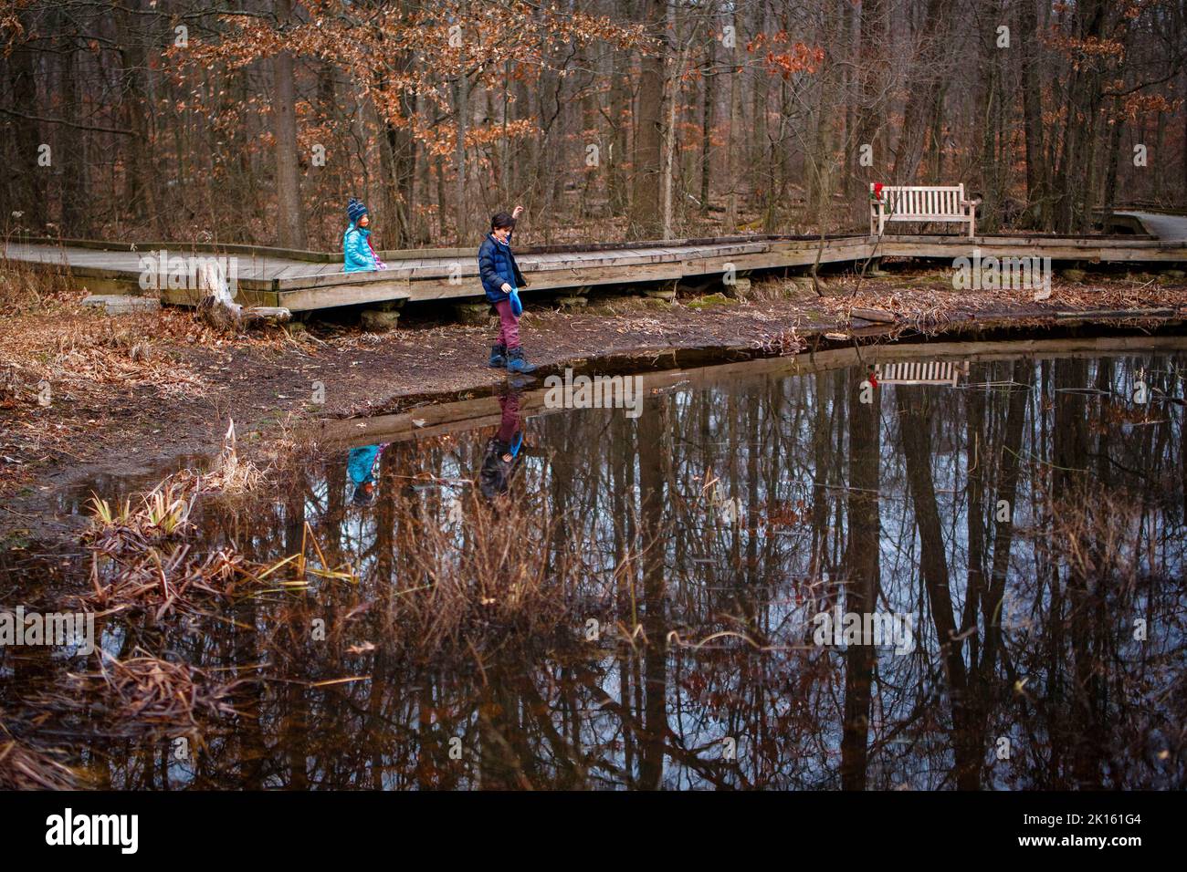Two children play explore forest hi-res stock photography and images ...