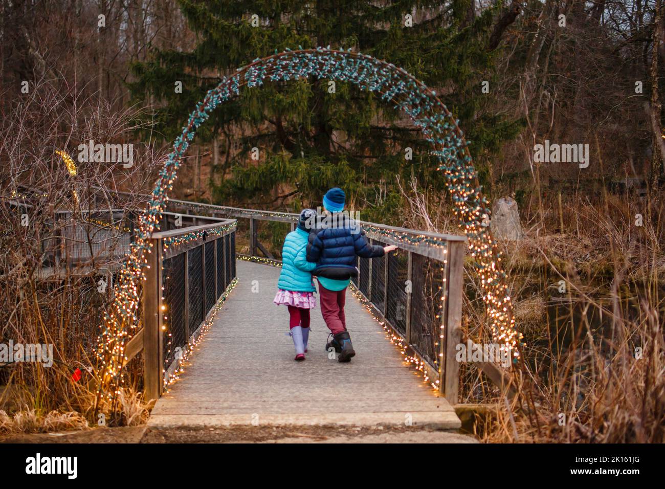 Two children walk on path through woods lit with Christmas lights Stock ...