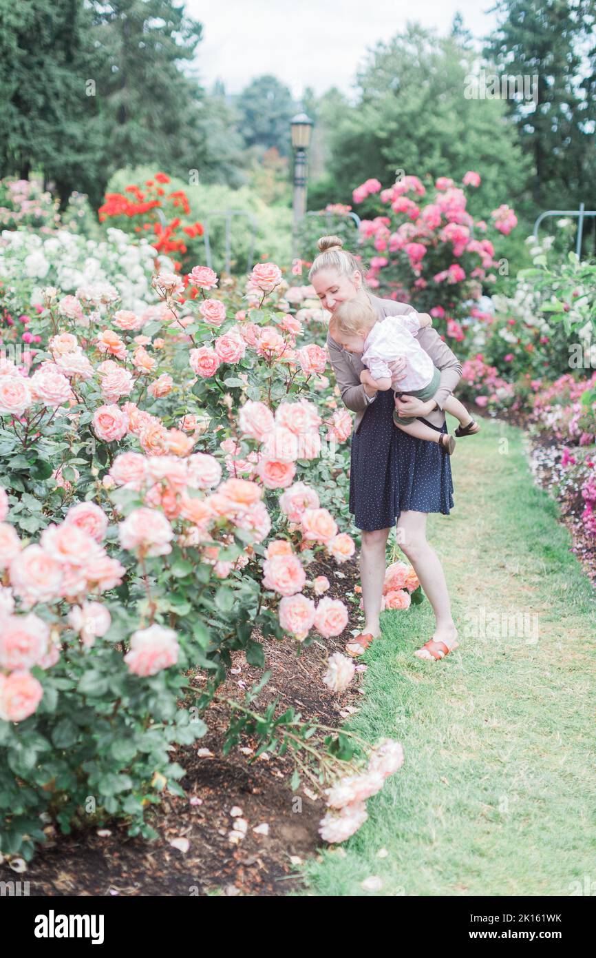 Blonde, Caucasian mother brings toddler to smell roses Stock Photo - Alamy