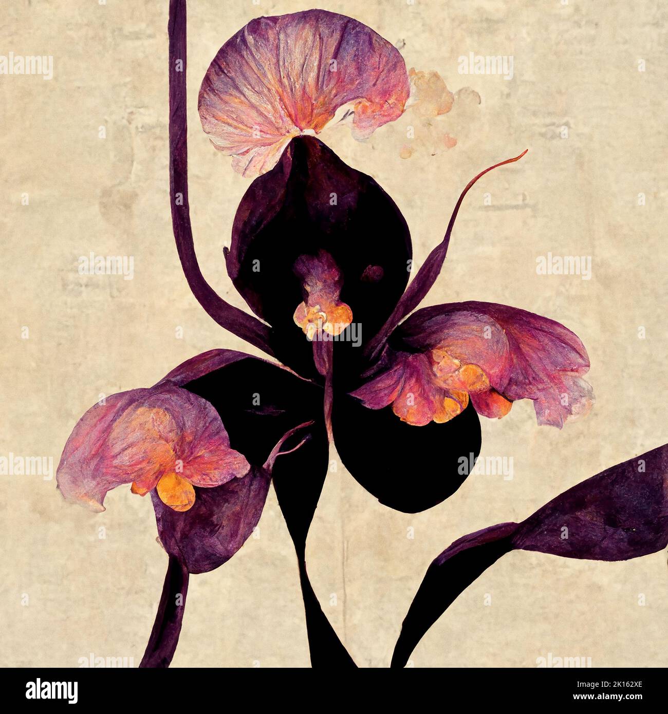 Botanical illustration and orchid hi-res stock photography and images ...