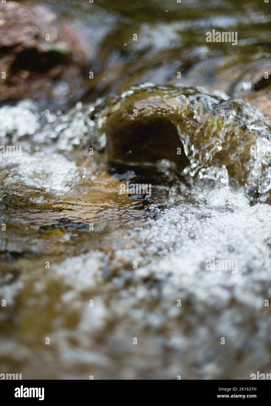 Running over a pond hi-res stock photography and images - Alamy