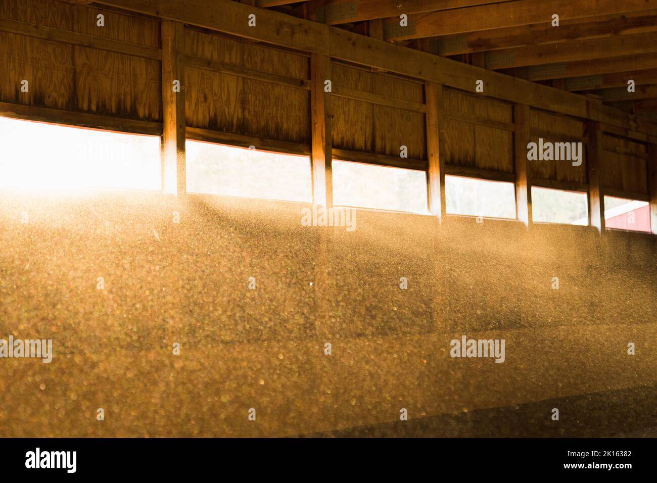 Golden sun rays shining into the windows of a dusty barn Stock Photo ...