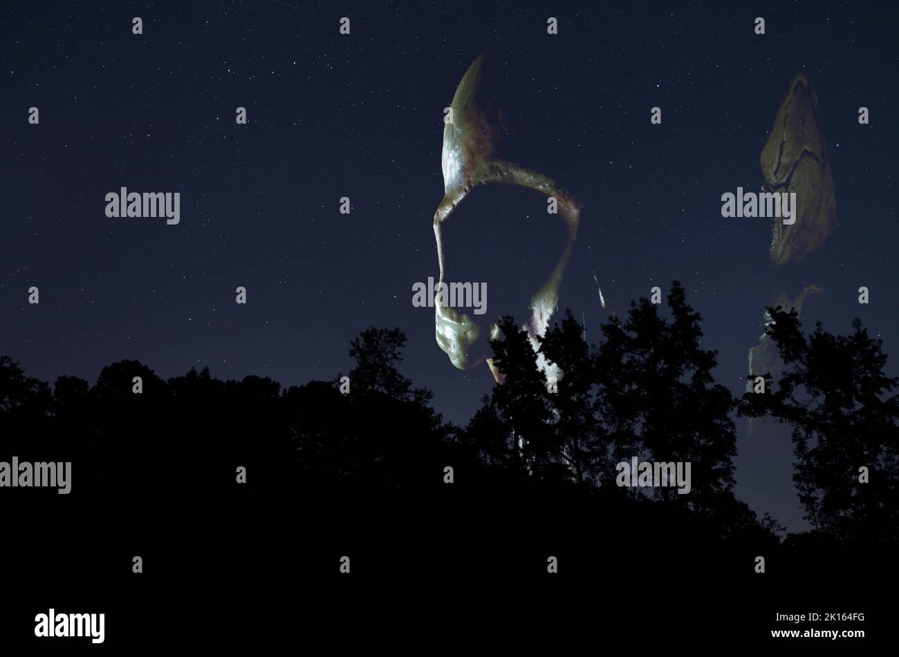 3D rendering of a skull rising over a forest on a starry night Stock ...