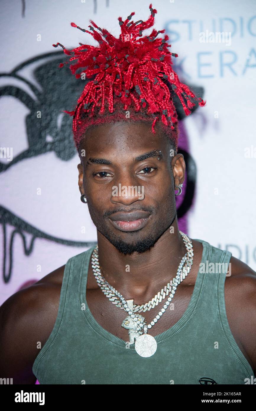 Paris, France. 15th Sep, 2022. Stephane Legar attending the Studios ...