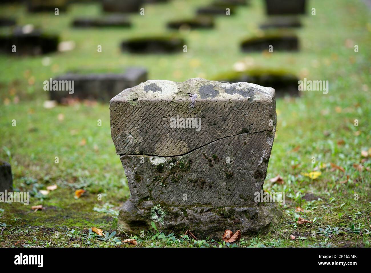 ancient tombstone with a crack in an abandoned cemetery Stock Photo - Alamy