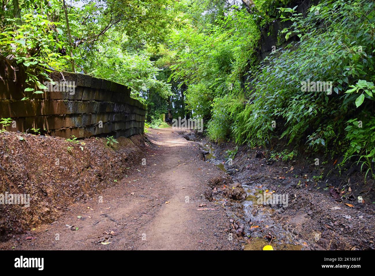 El Miro Ruins, hiking trail views, abandoned mansion, declared ...
