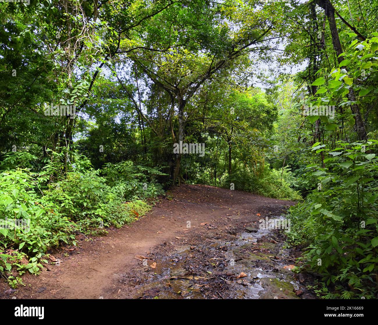 El Miro Ruins, hiking trail views, abandoned mansion, declared ...
