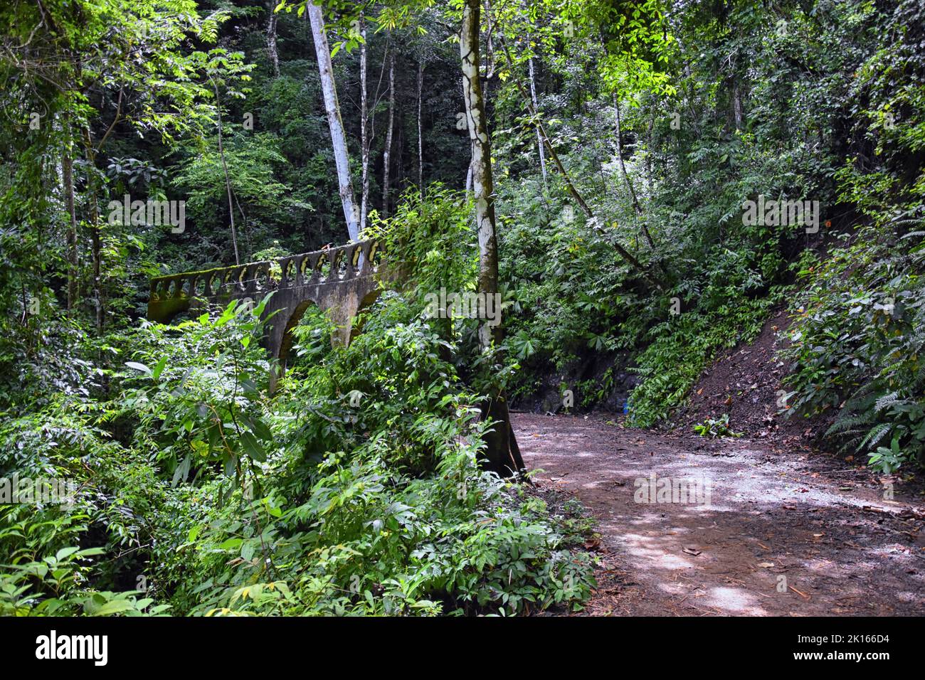 El Miro Ruins, hiking trail views, abandoned mansion, declared ...