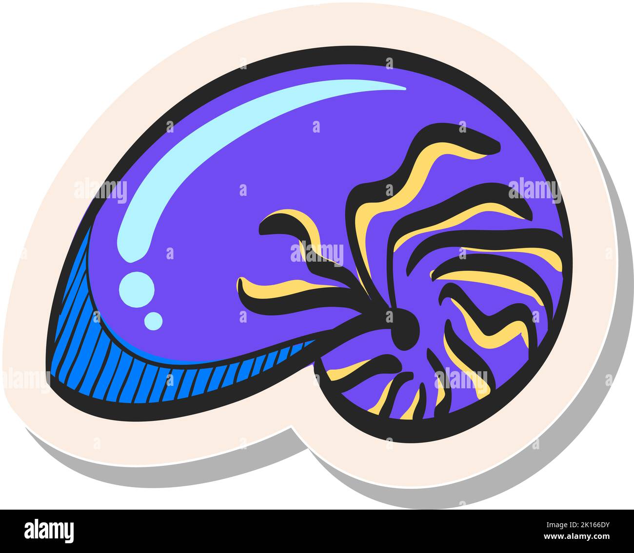 Hand drawn Nautilus icon in sticker style vector illustration Stock ...