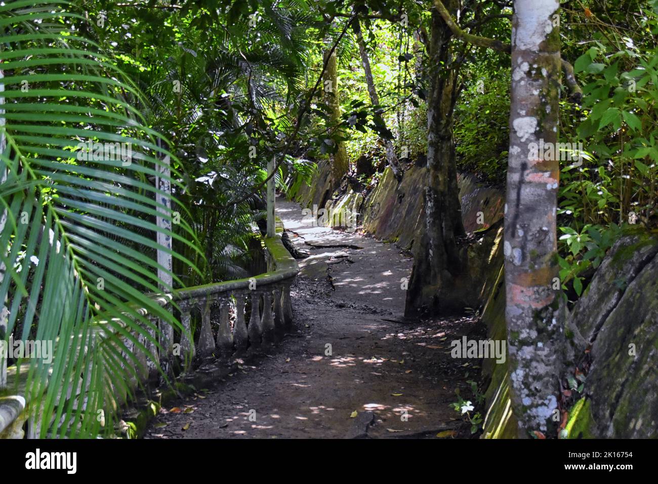 El Miro Ruins, hiking trail views, abandoned mansion, declared ...