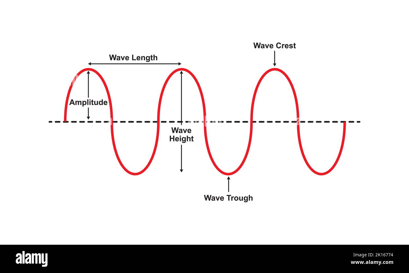 Wave Basic Properties. The Parts Of Wave. Vector Illustration Stock ...