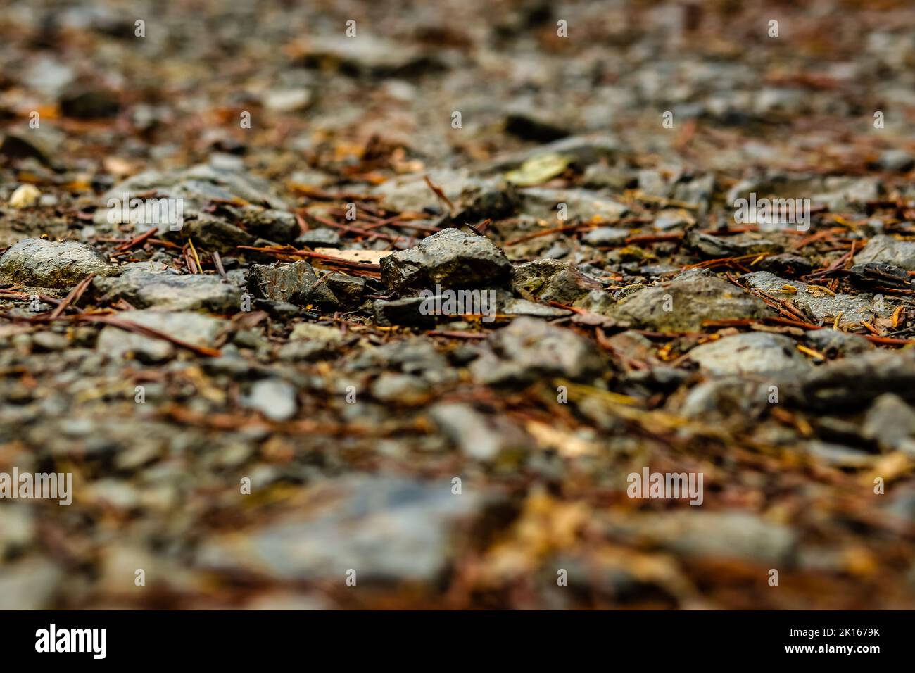 Wet and muddy foot path Stock Photo - Alamy