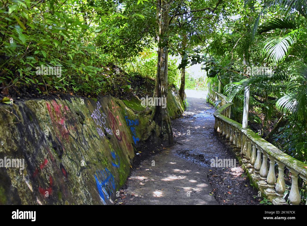 El Miro Ruins, hiking trail views, abandoned mansion, declared ...