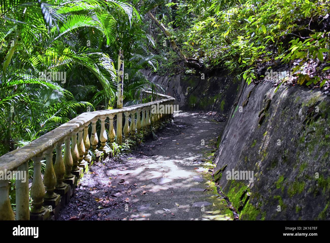 El Miro Ruins, hiking trail views, abandoned mansion, declared ...
