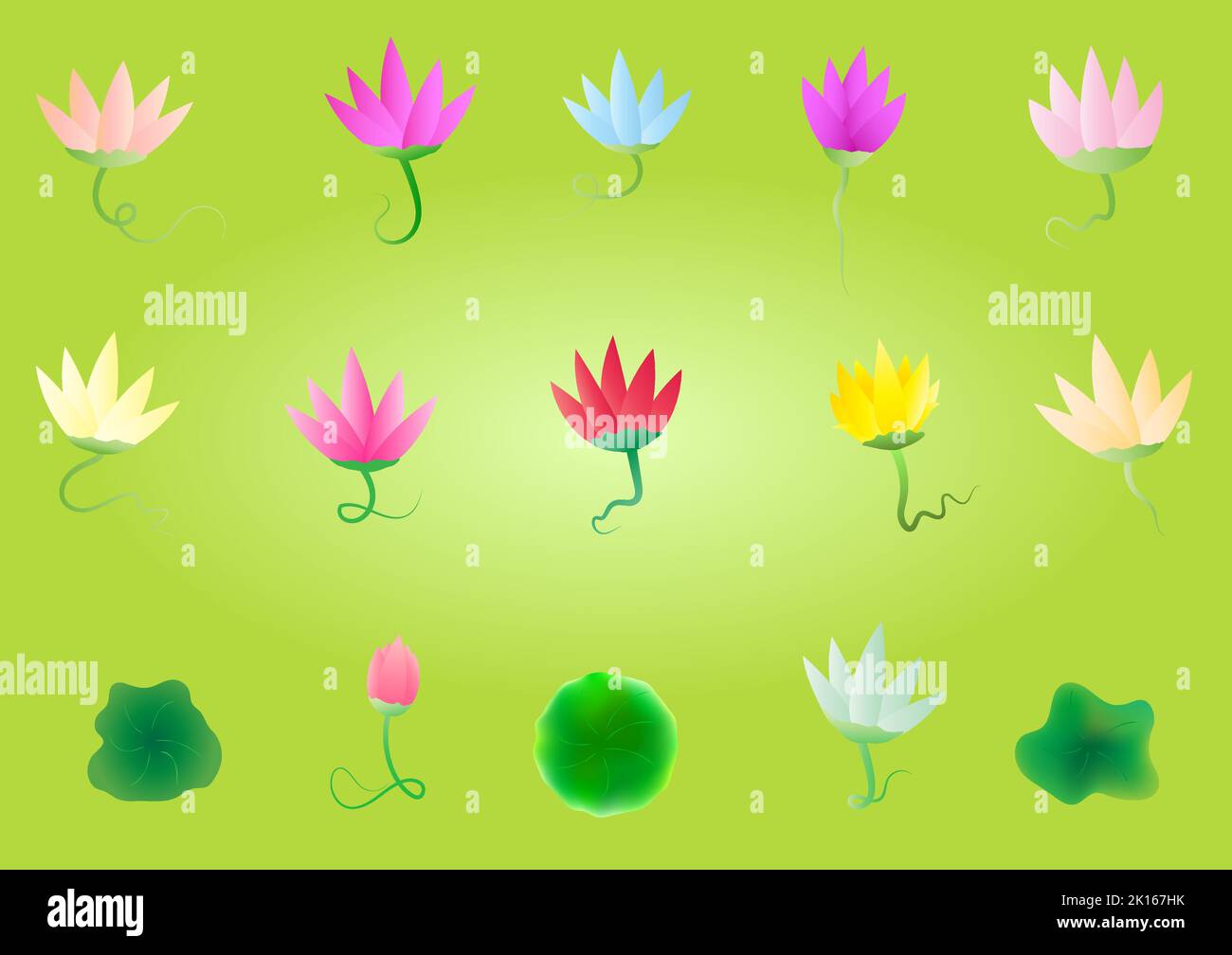 Correction of lotus floral blossom art graphic design modern abstract ...