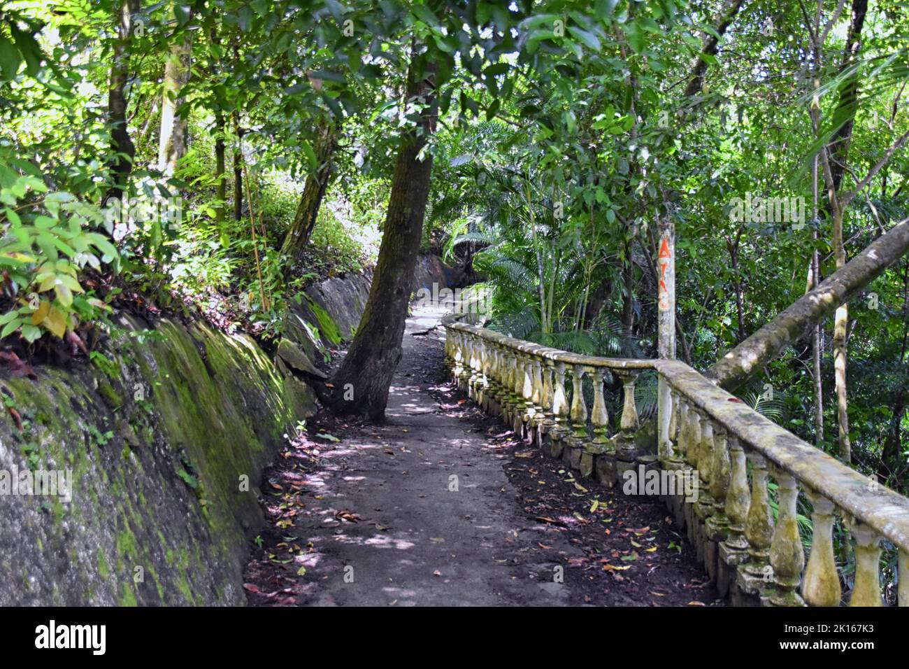 El Miro Ruins, hiking trail views, abandoned mansion, declared ...