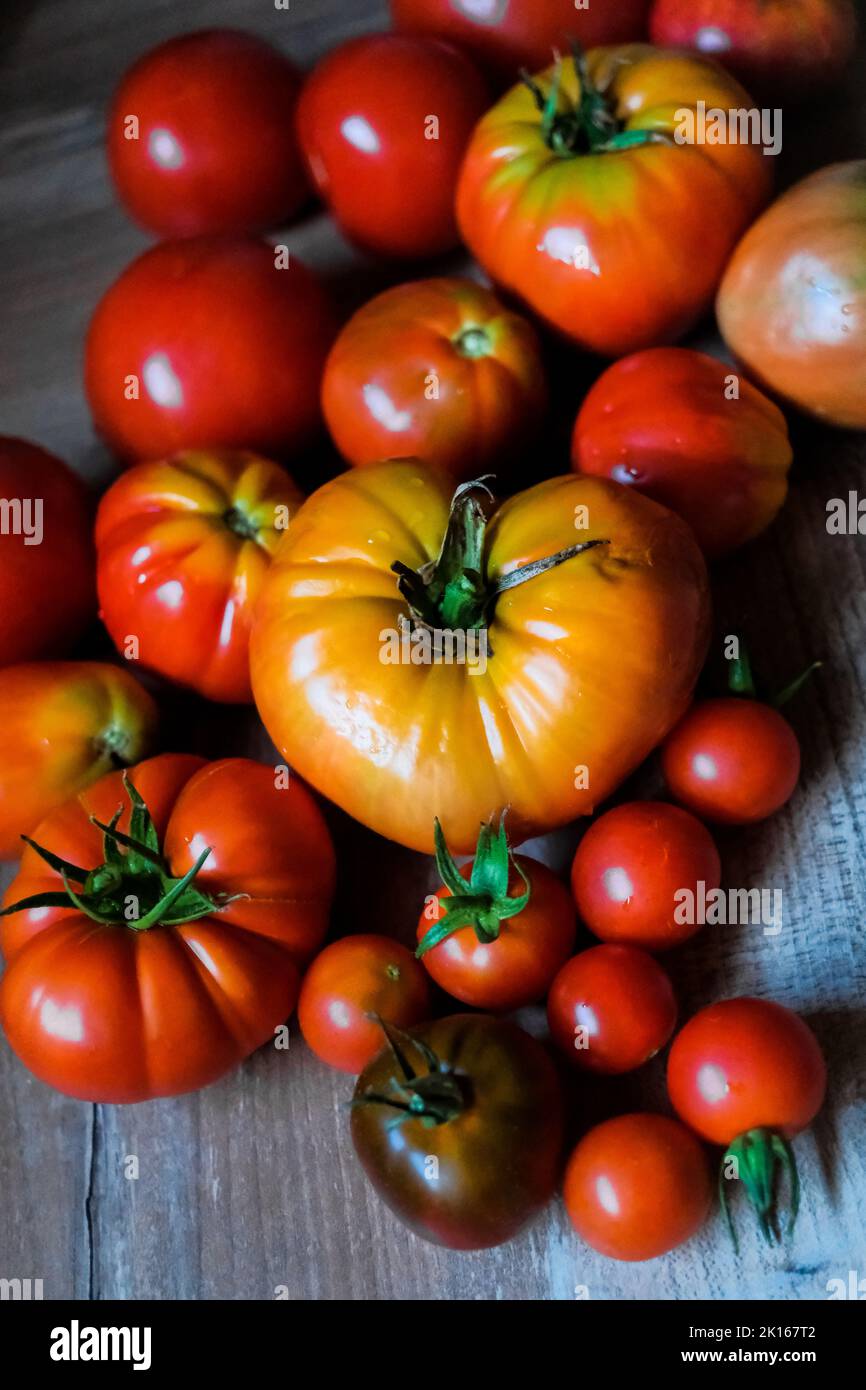 Irregular organic tomatoes of different sizes and textures, but very ...
