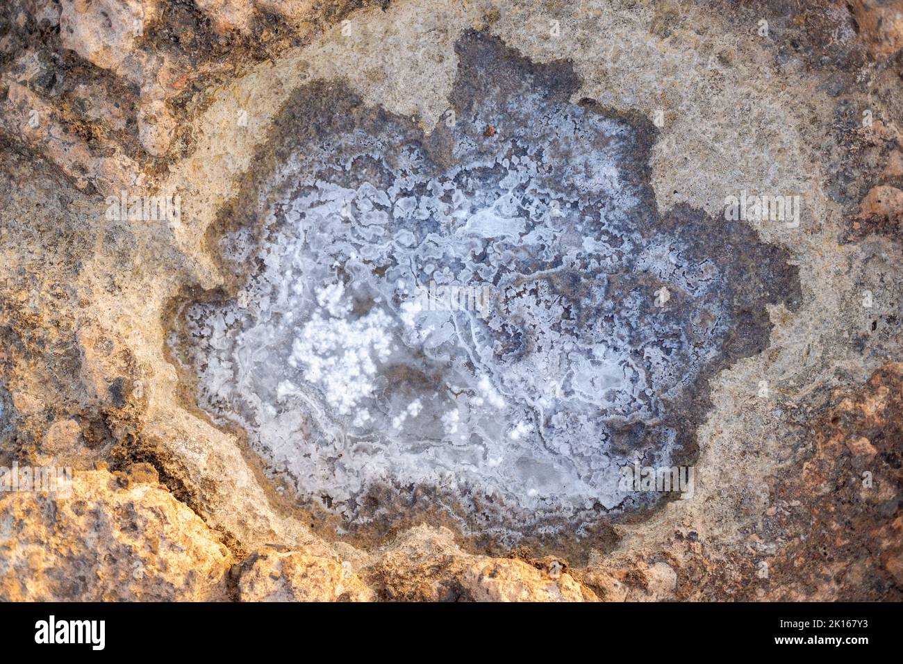 Remains of salt when seawater evaporates in rocks, a mineral rich in ...