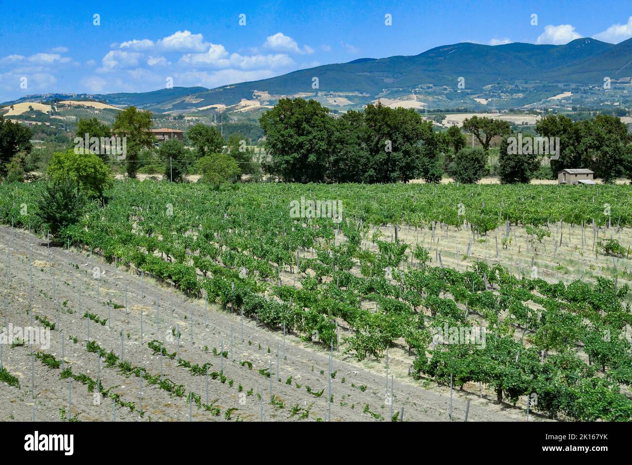 Tuscany landscape countryside - Firenze / Florence Italy Tuscan ...
