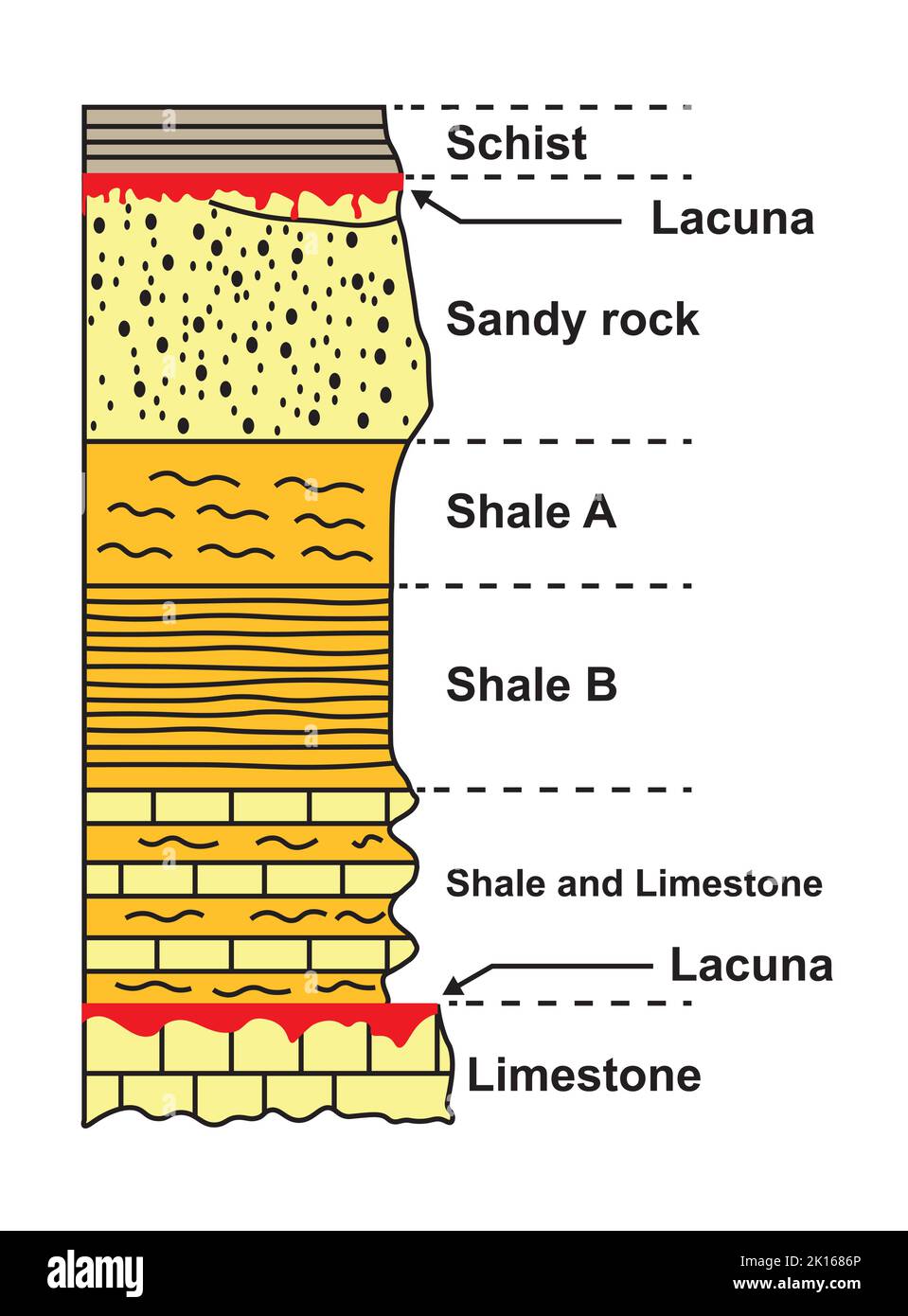Stratigraphic Laguna Scheme. Stratigraphic Column. Vector Illustration ...