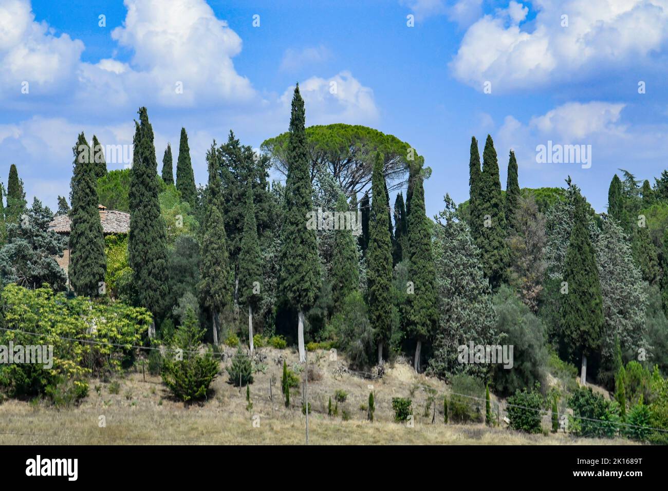 Tuscany landscape countryside - Firenze / Florence Italy Tuscan ...