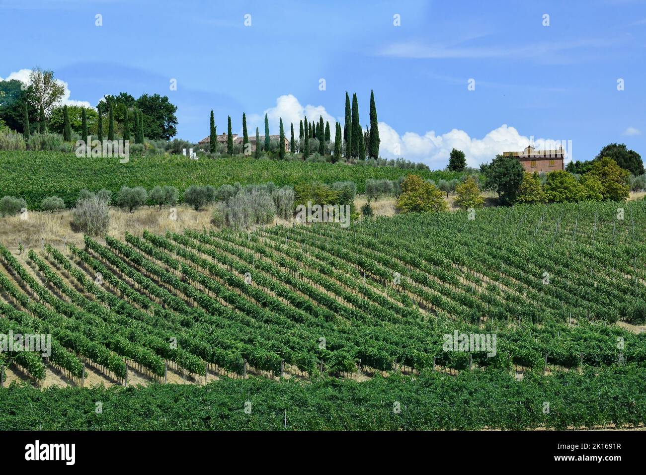 Tuscany landscape countryside - Firenze / Florence Italy Tuscan ...