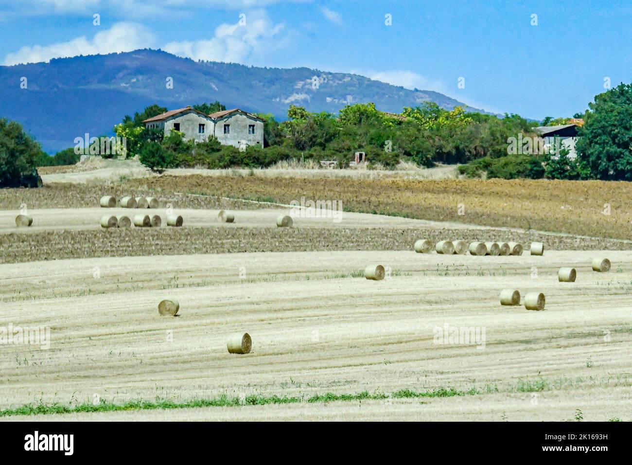 Tuscany landscape countryside - Firenze / Florence Italy Tuscan ...