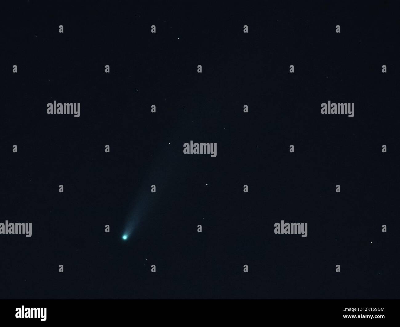 Comet Neowise comet as seen from light polluted southern California ...