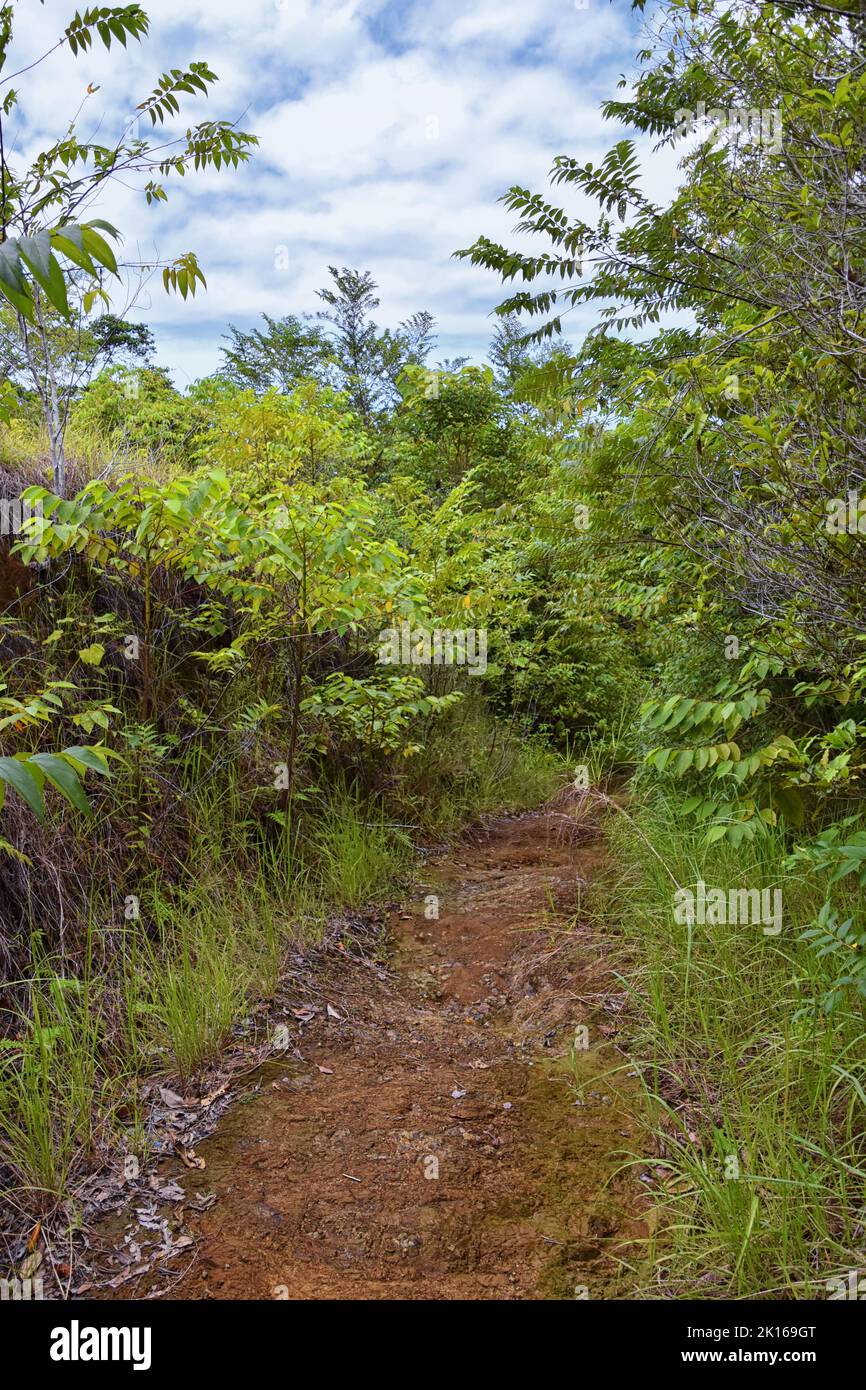El Miro Ruins, hiking trail views, abandoned mansion, declared ...