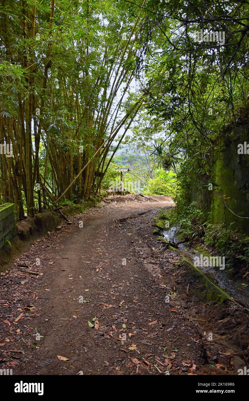 El Miro Ruins, hiking trail views, abandoned mansion, declared ...