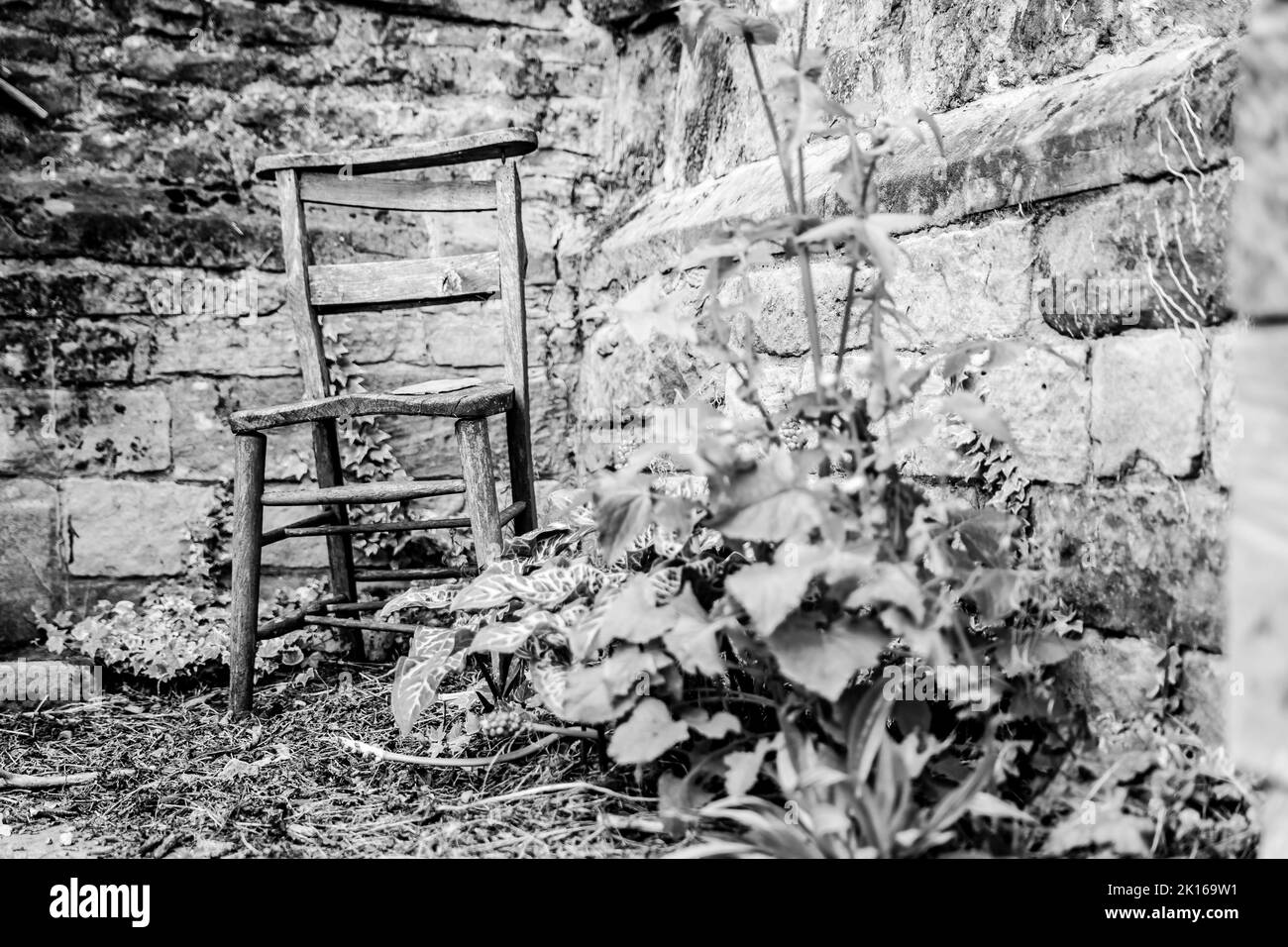 Office black chairs Black and White Stock Photos & Images - Alamy