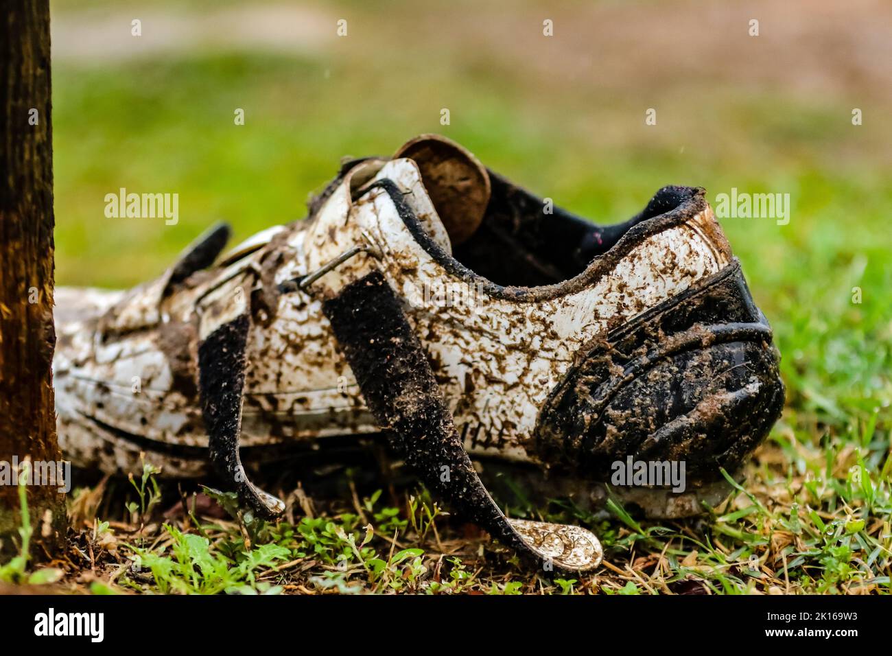 Muddy Shoe on the Grass Stock Photo - Alamy