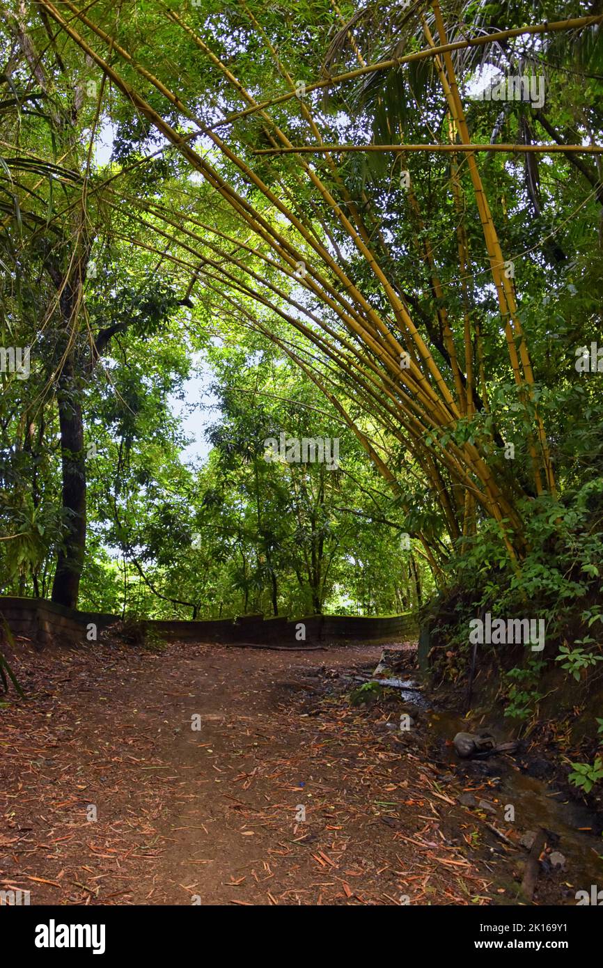 El Miro Ruins, hiking trail views, abandoned mansion, declared ...