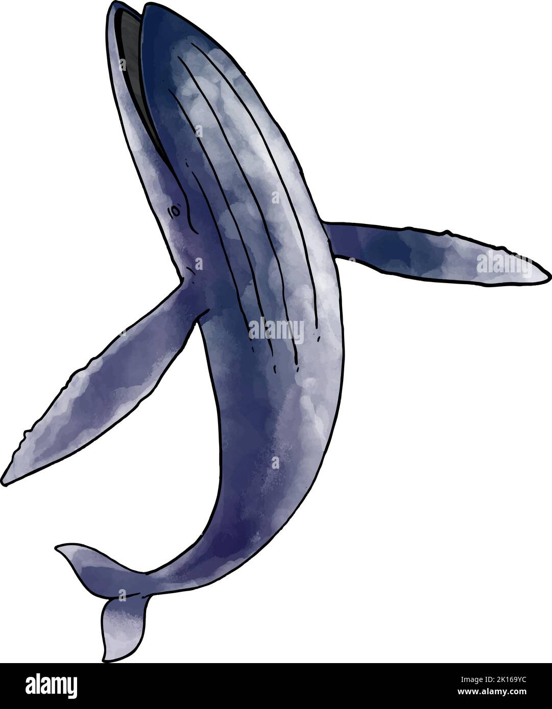 Hand drawn watercolor style blue whale vector illustration Stock Vector ...