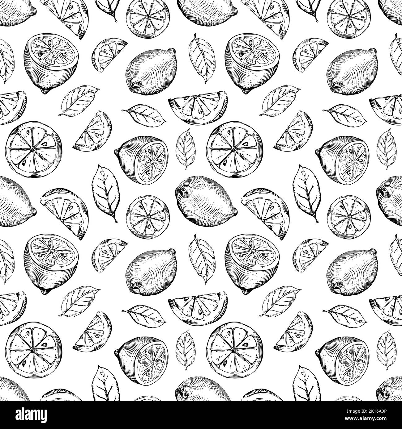 Lemon tree isolated on white background illustration Black and White ...