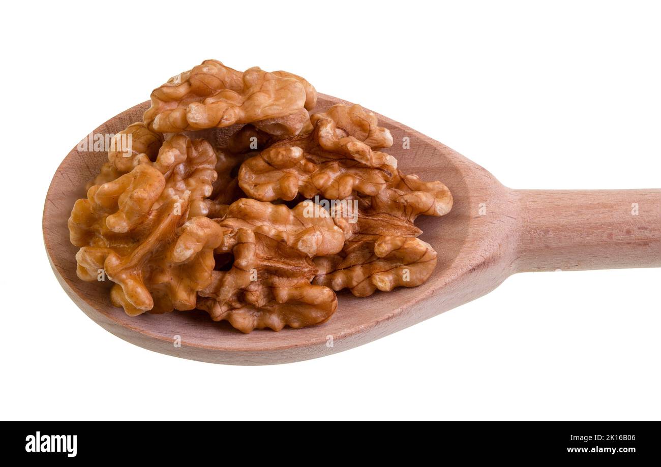 Walnut is the edible seed of the walnut tree, Juglans regia Stock Photo ...