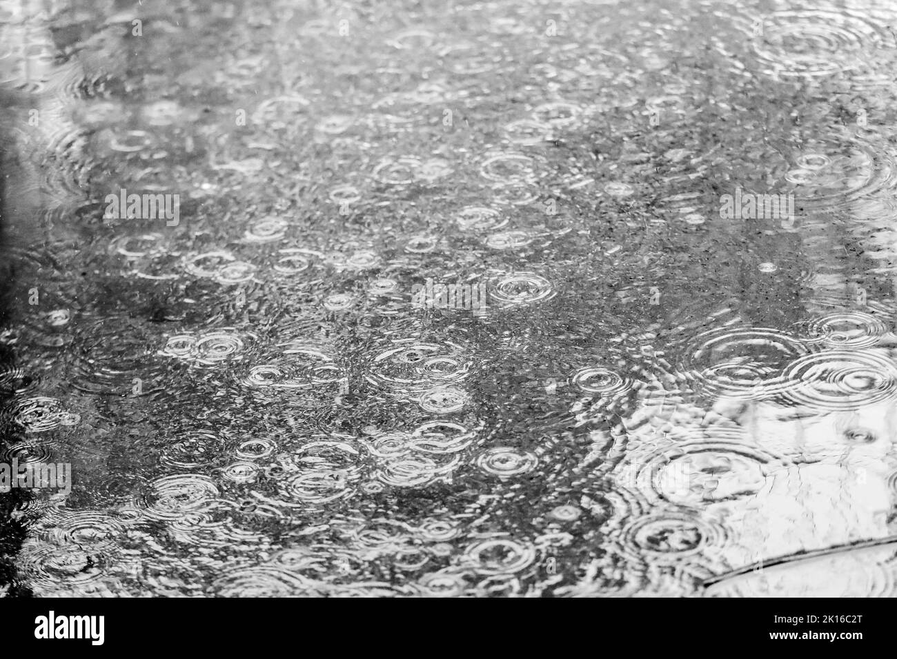 Rain drops in a puddle Stock Photo - Alamy Rain drops in a puddle Stock Photo - Alamy