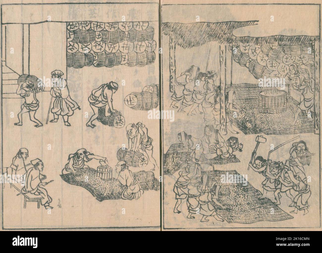 Rice harvest, illustration from " Nogyo zensho ", published in 1697 ...